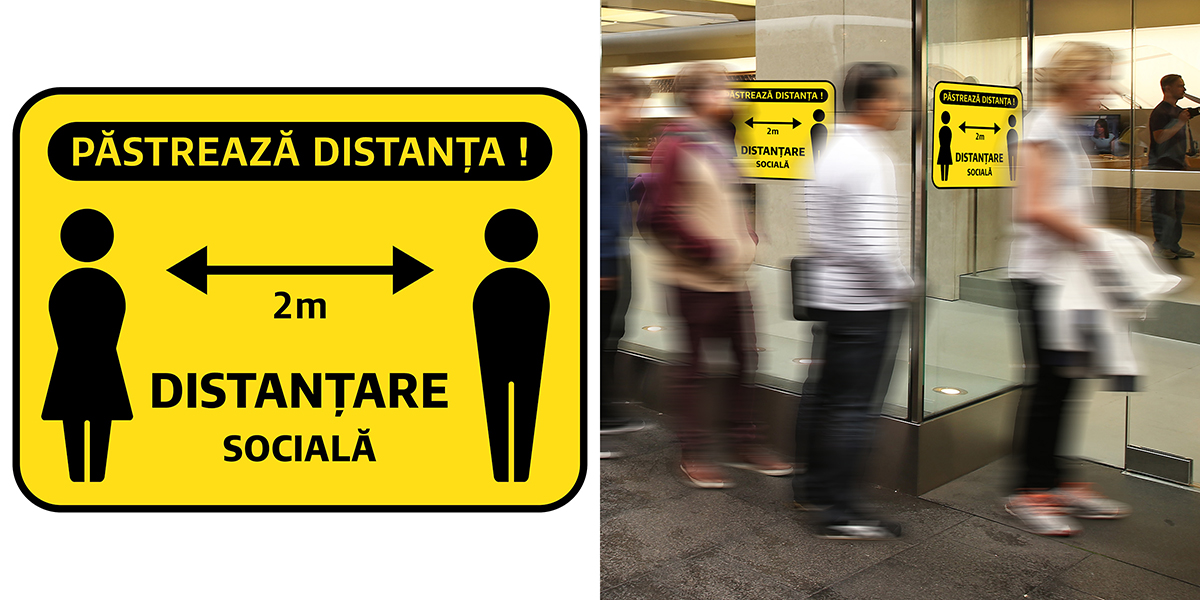Digital Brain - Portofoliu - Prezentarea lucrarilor